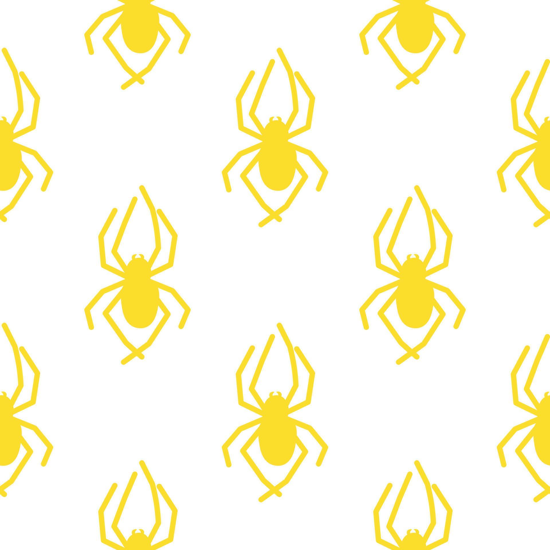 Spider vector seamless pattern on a white background. Insect pattern ...