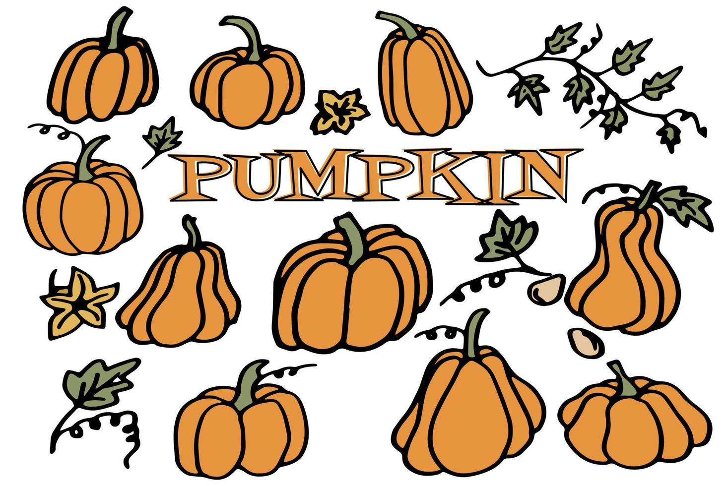 Collection of pumpkin in doodle style 16122896 Vector Art at Vecteezy