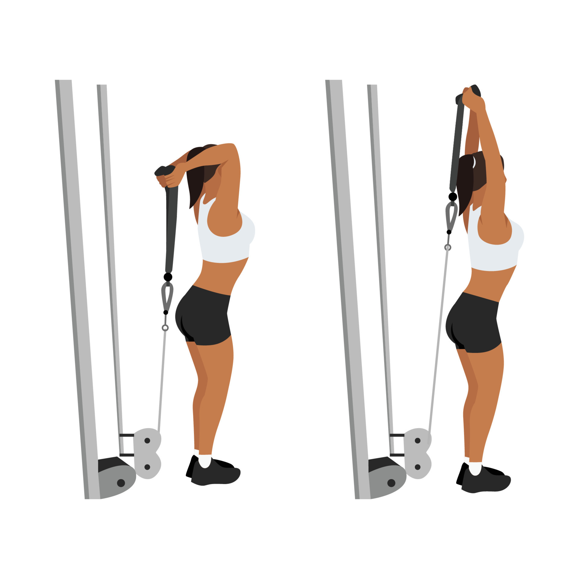Rope Cable Tricep Extension Atelier Yuwaciaojp