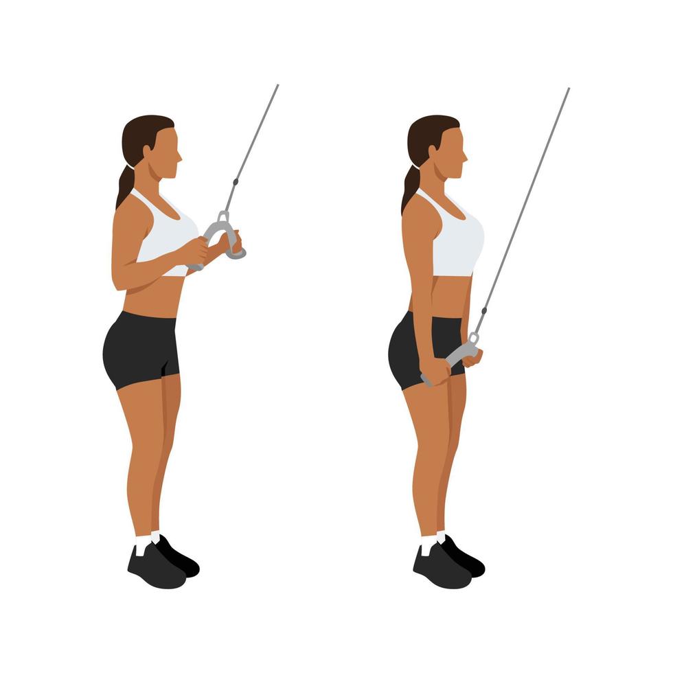 Woman Doing Cable Rope Tricep Pull Down Or Push Exercise Flat Vector Illustration Isolated On