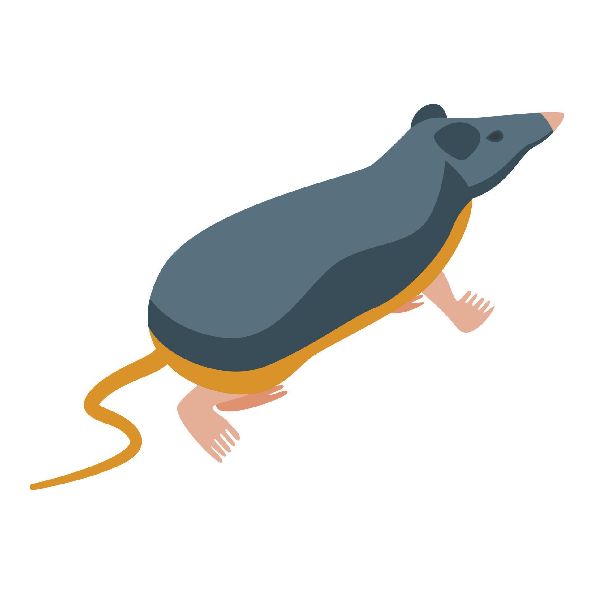 Nature shrew icon isometric vector. African animal 16160737 Vector Art ... Nature shrew icon isometric vector. African animal 16160737 Vector Art ...