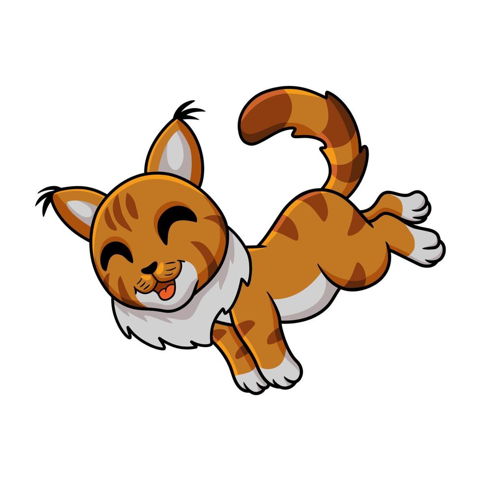Cute Maine Coon Cat Cartoon 16185499 Vector Art At Vecteezy