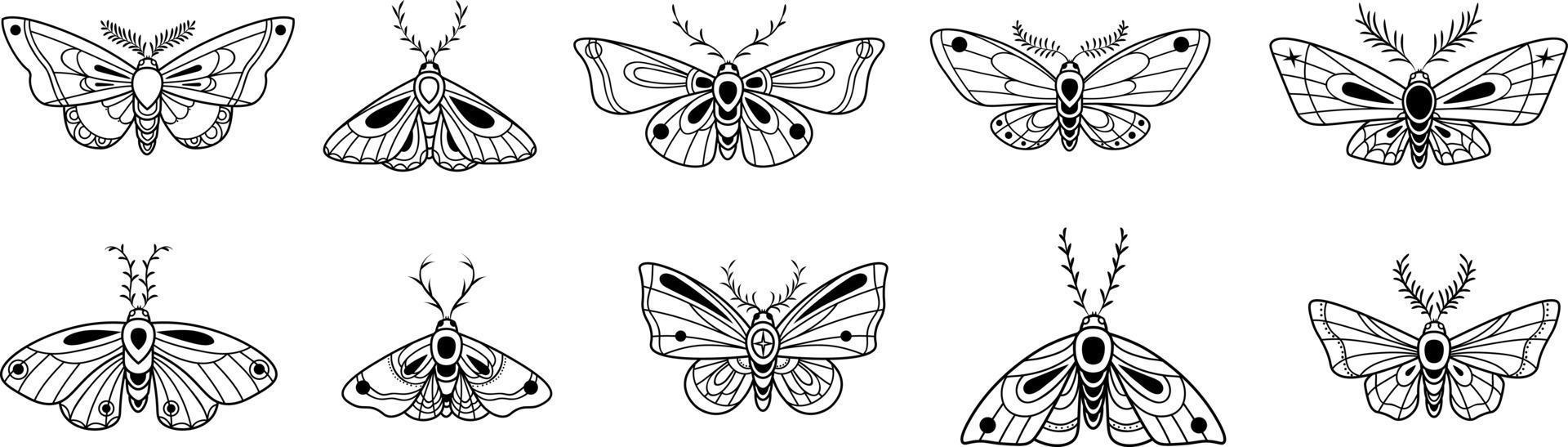Moth vector illustrations 16190821 Vector Art at Vecteezy