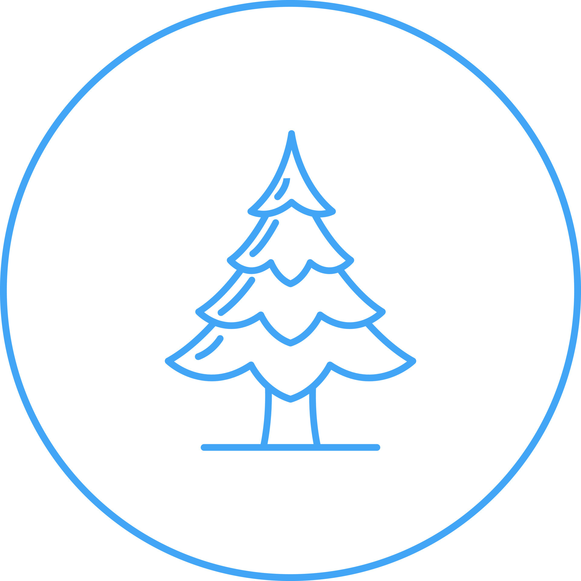 Pine Tree Vector Icon 16223898 Vector Art at Vecteezy