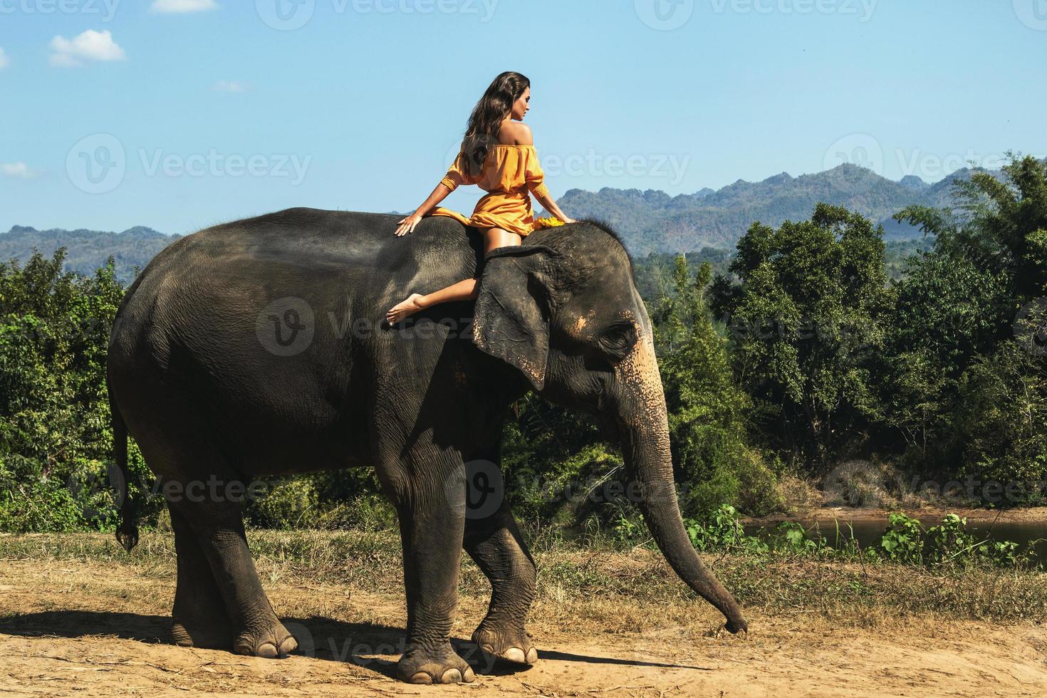 Woman Wearing Beautiful Orange Dress Is Riding The Elephant 16250057