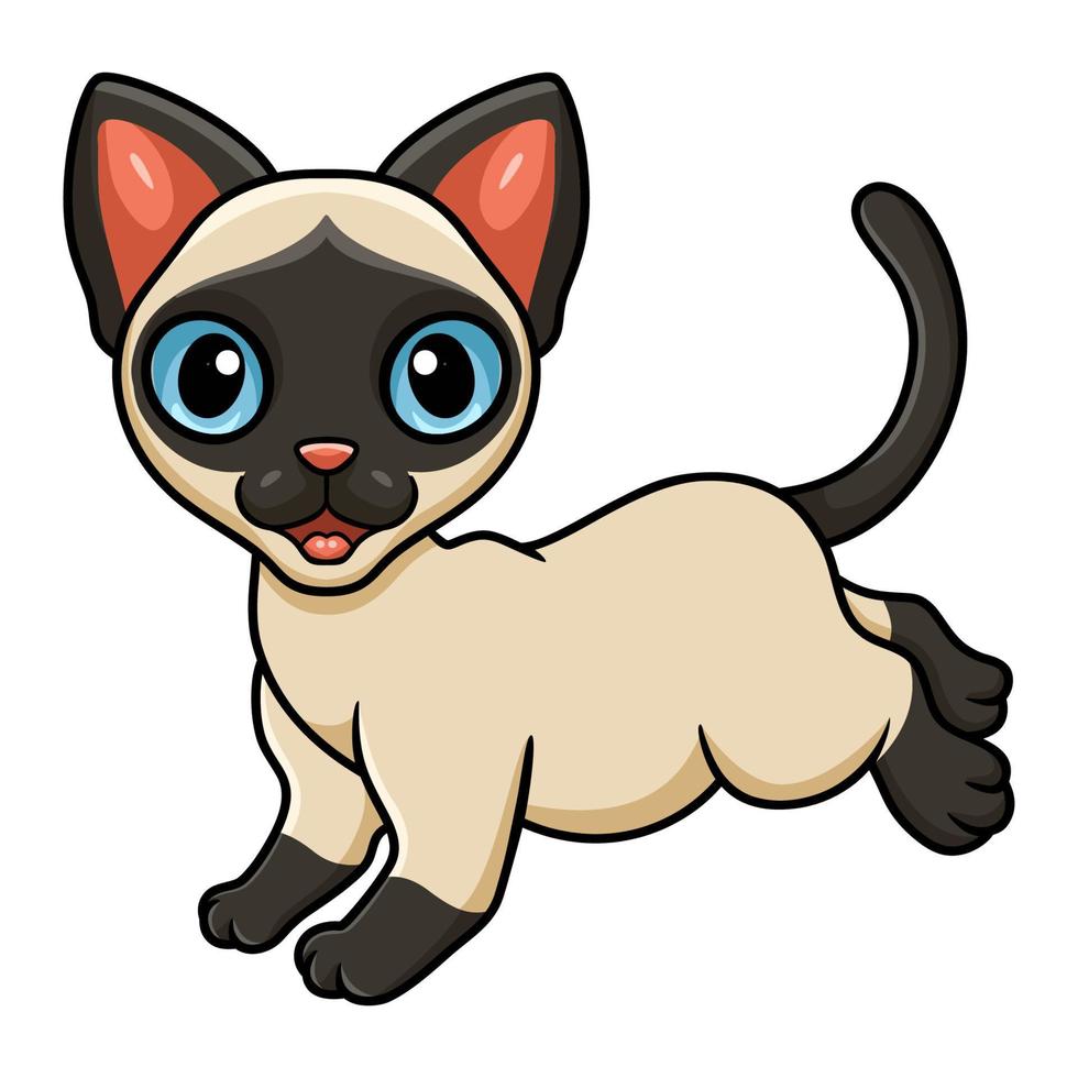 Cute siamese cat cartoon walking 16352130 Vector Art at Vecteezy Cute siamese cat cartoon walking 16352130 Vector Art at Vecteezy