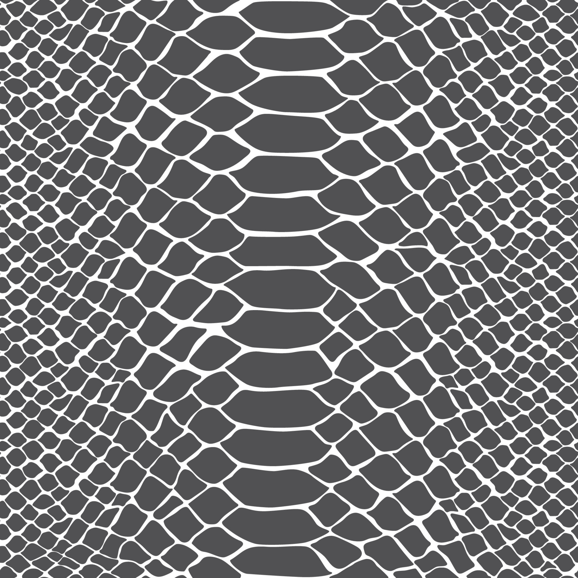 Black Snake Skin Pattern 16378814 Vector Art at Vecteezy Black Snake Skin Pattern 16378814 Vector Art at Vecteezy