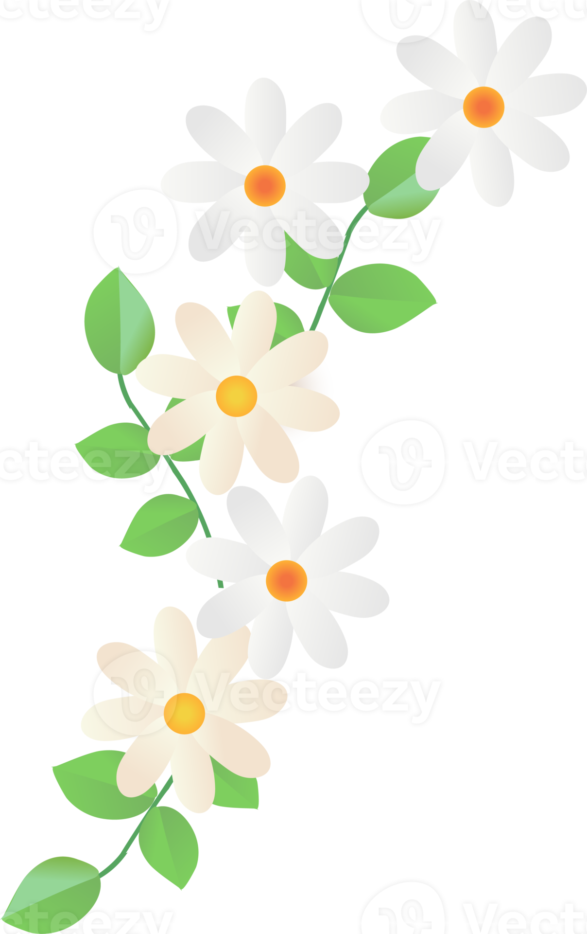 daisy border frame 16384076 PNG