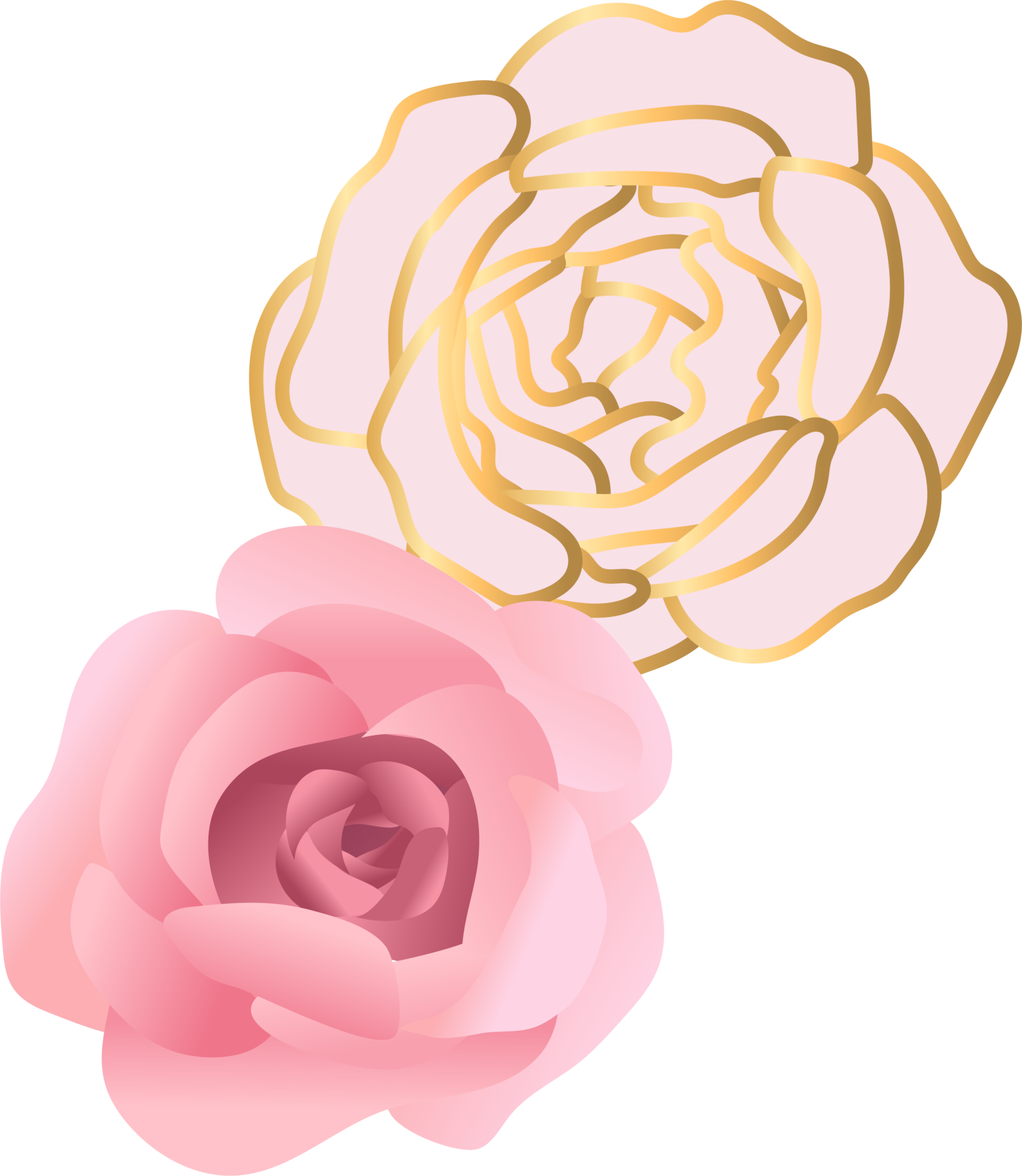 Rose Flower Border 16384219 Png