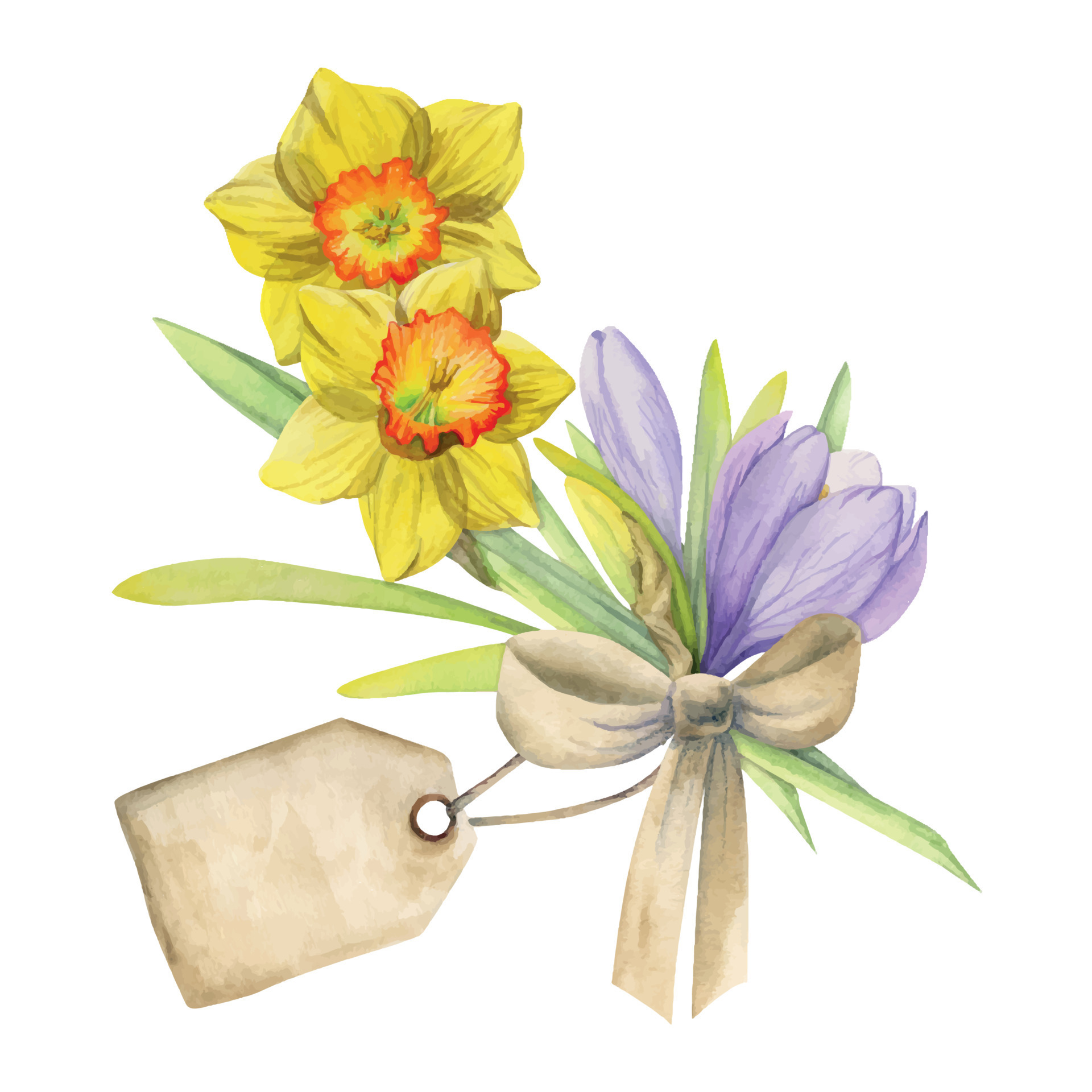 Watercolor hand drawn composition with spring flowers, crocus ...