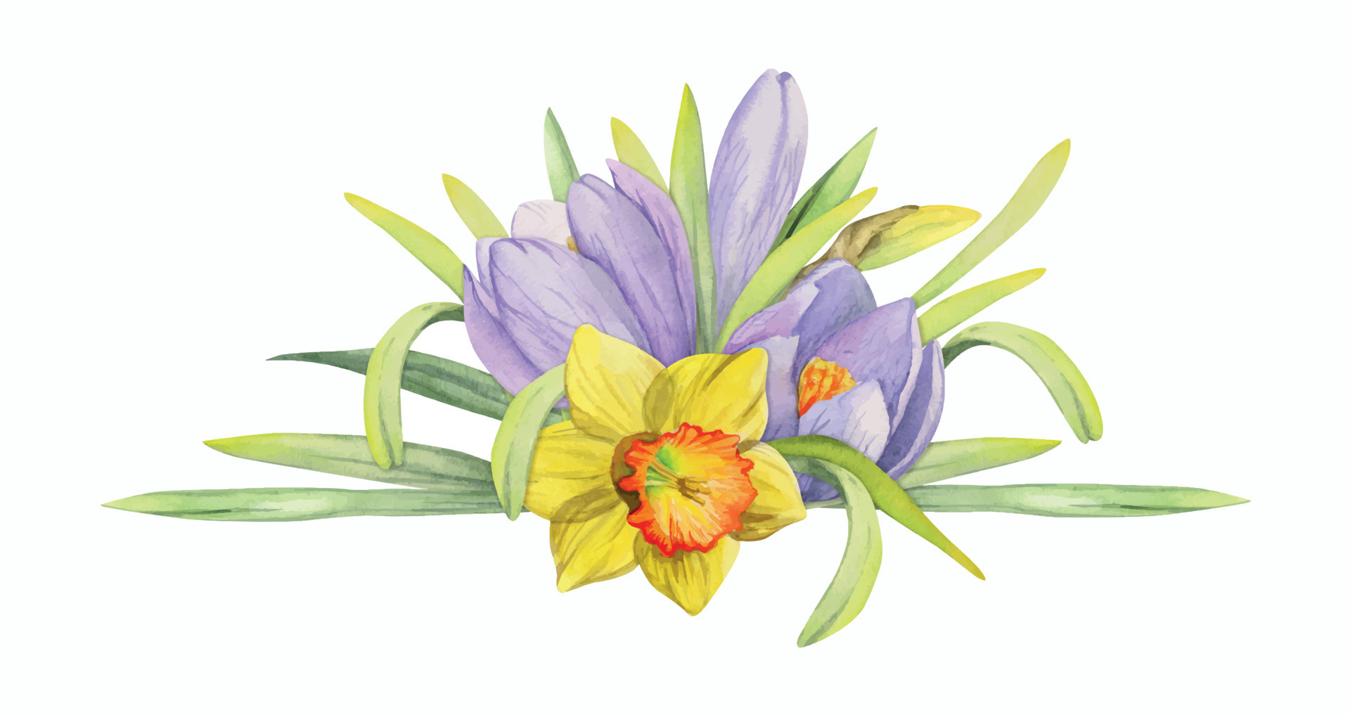 Watercolor hand drawn composition with spring flowers, crocus ...