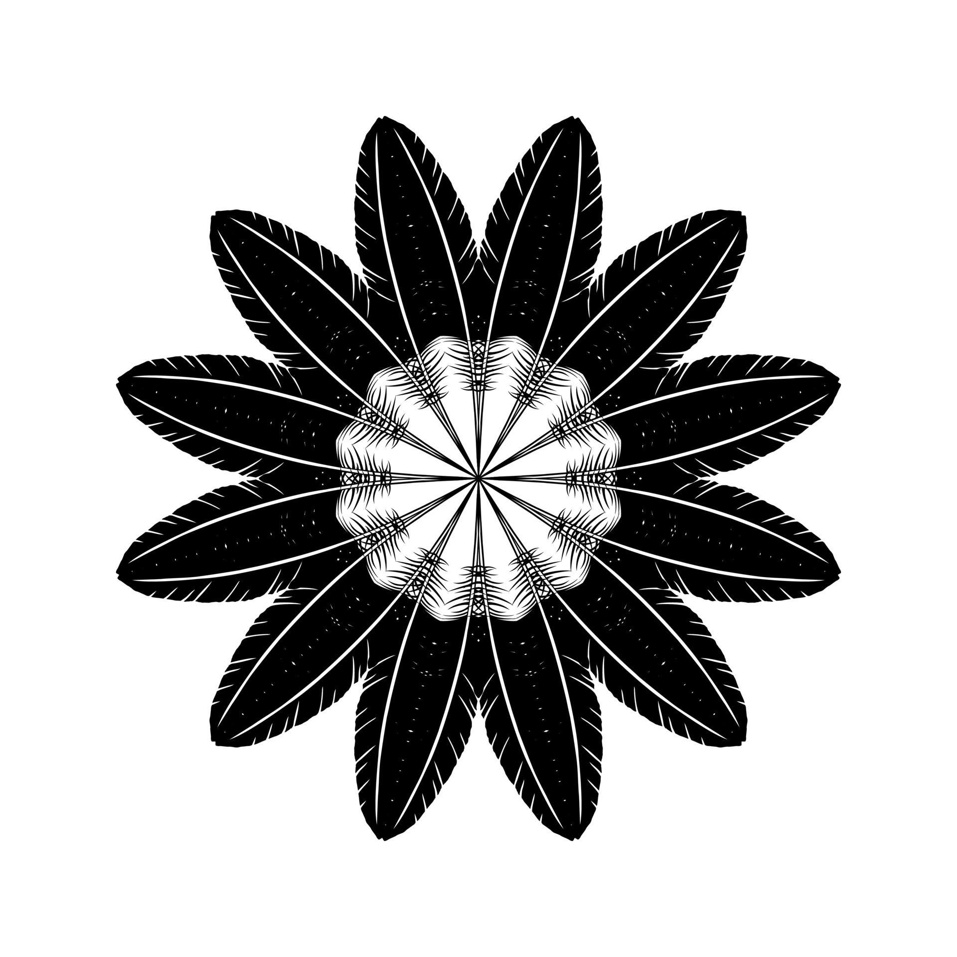 Ornamental Circle Shape Made By Feather Composition For Decoration Ornate Website Art