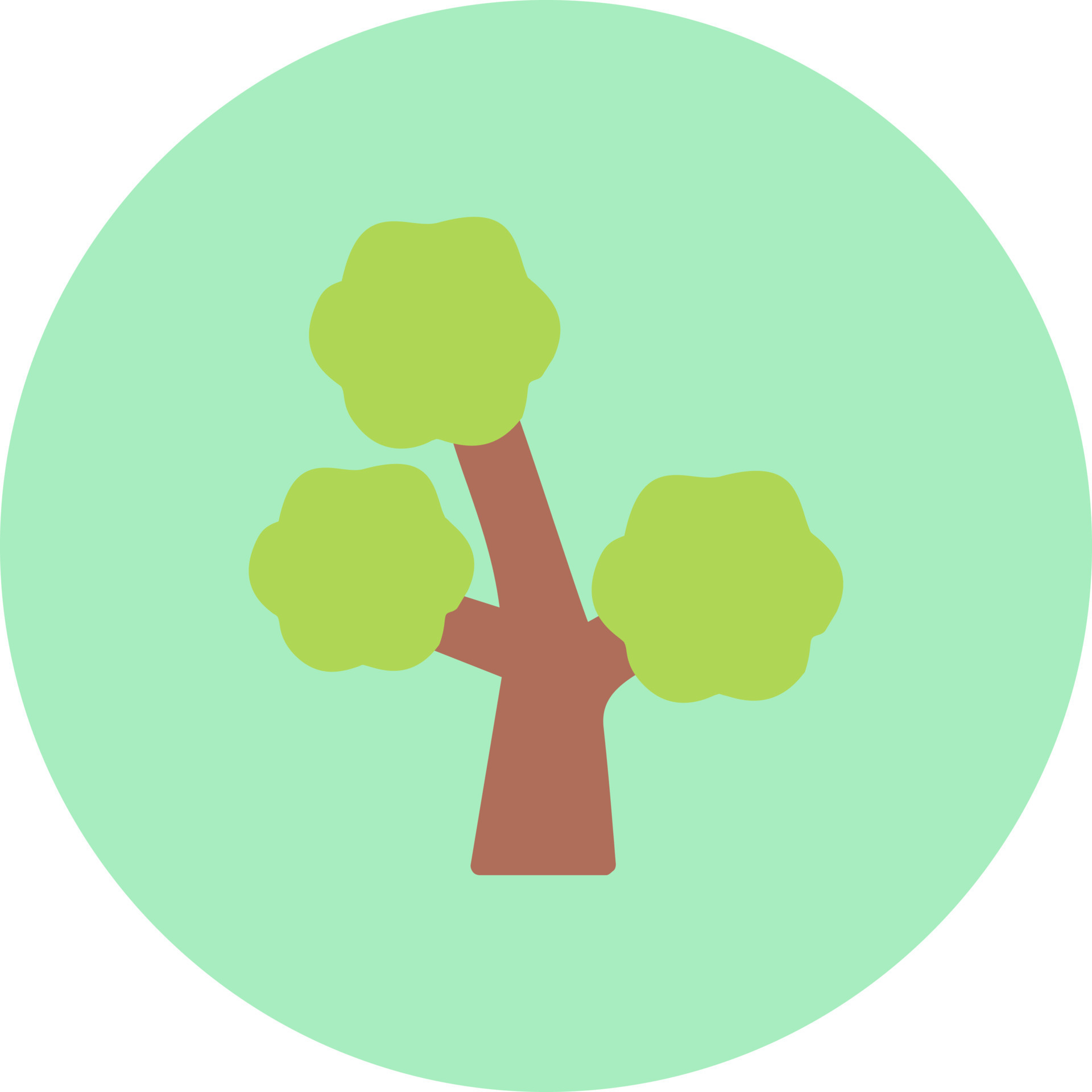 Tree Vector Icon 16404817 Vector Art at Vecteezy