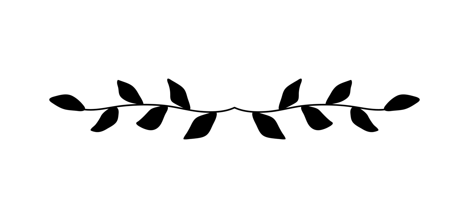 Decorative Divider Border Line Vector Element For Text Decor