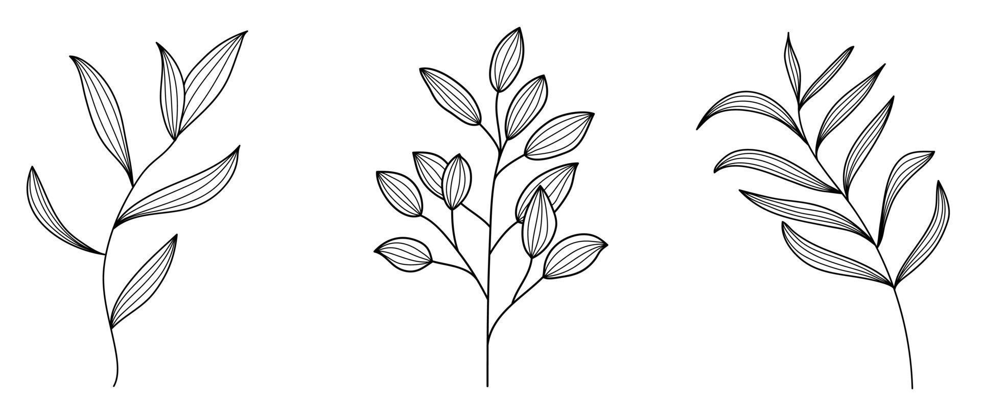 Set of hand drawn line art leaf branch vector. Botanical leaf branch collection of black white ...