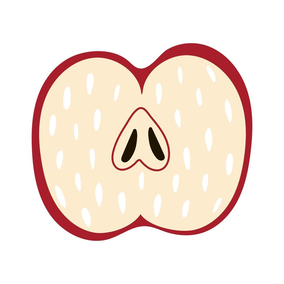 Cozy fresh and ripe delicious apple slicel fruit isolated on white ...