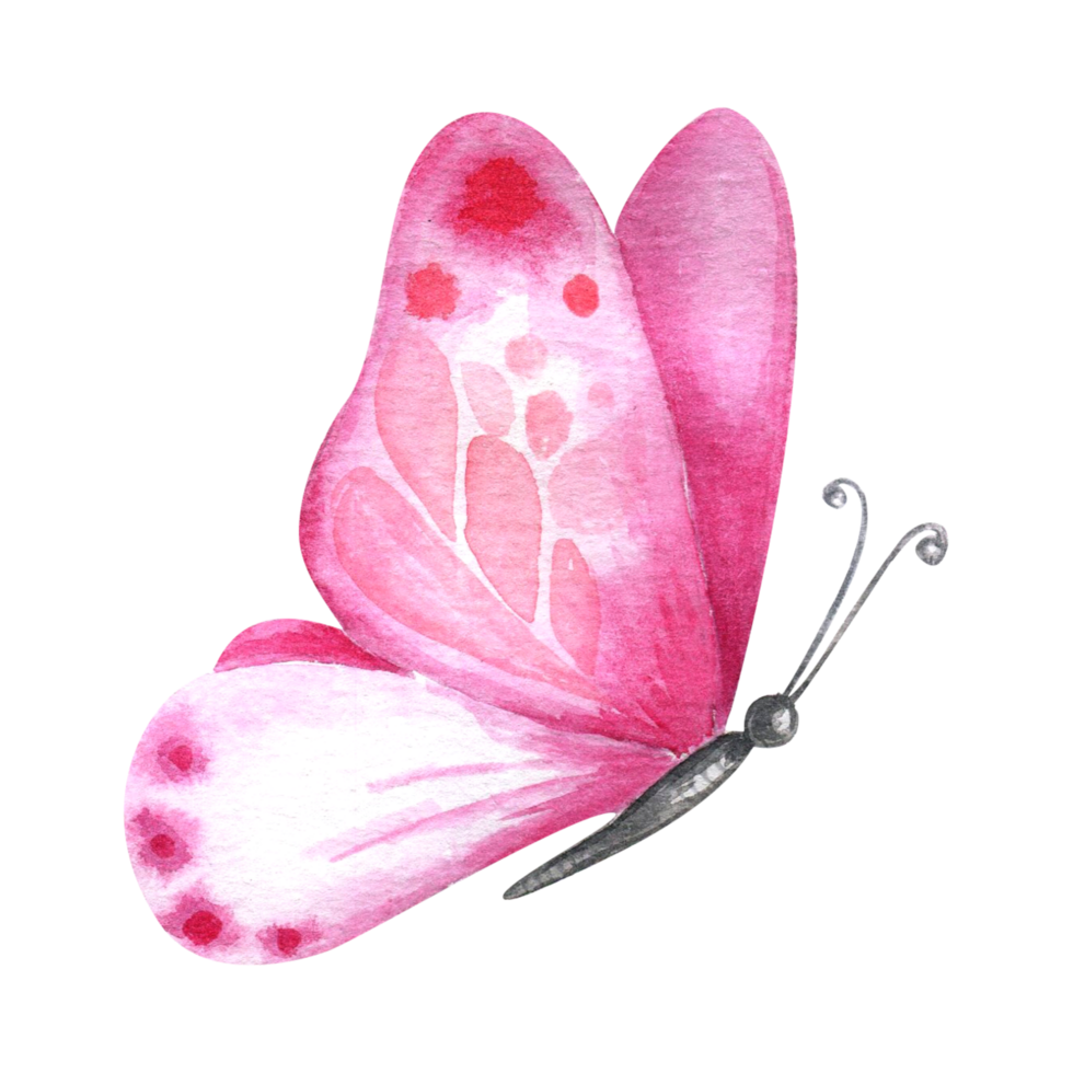 Ilustração De Inseto Borboleta 16416040 Png