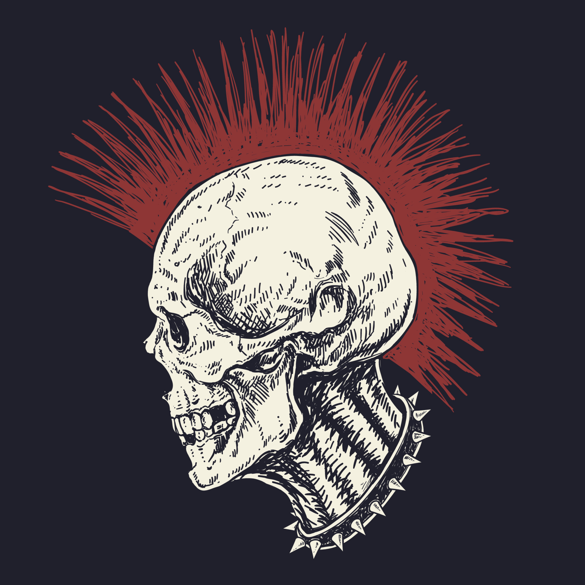 Punk Skull With Mohawk Hair 16417000 Vector Art At Vecteezy