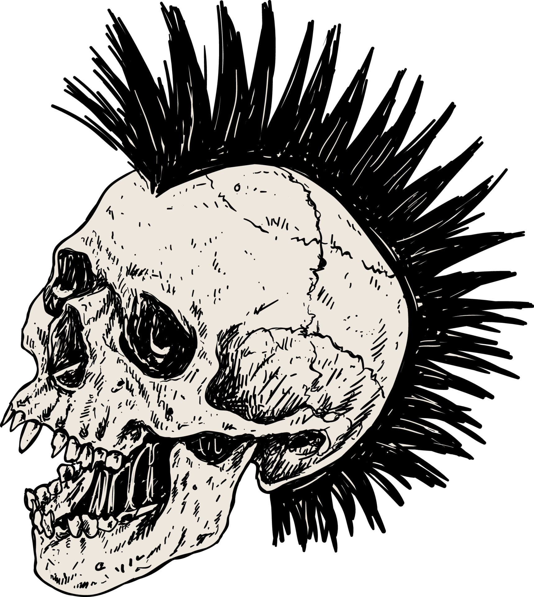Punk Skull with Mohawk Hair 16417027 Vector Art at Vecteezy Punk Skull with Mohawk Hair 16417027 Vector Art at Vecteezy