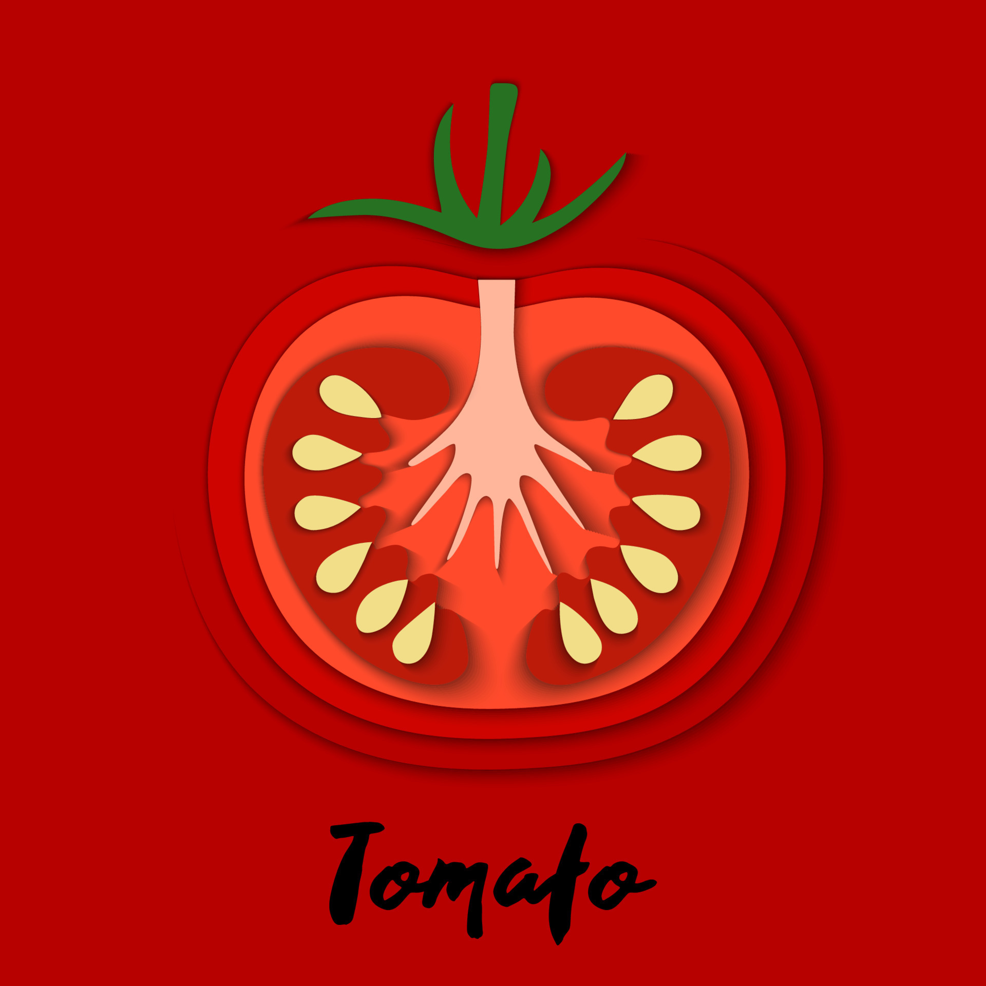Vector Set Of Paper Cut Red Tomato Cut Shapes 3d Abstract Paper Art Style Origami Concept