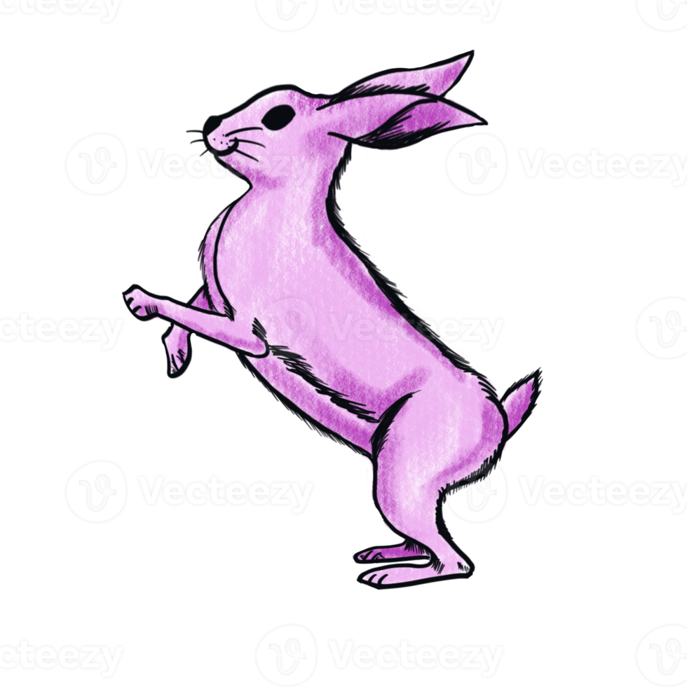 The Pink Rabbit Png Image 16457882 Png