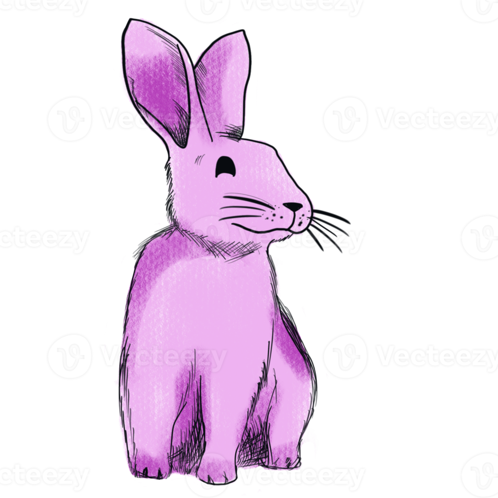 The Pink Rabbit Png Image 16457908 Png