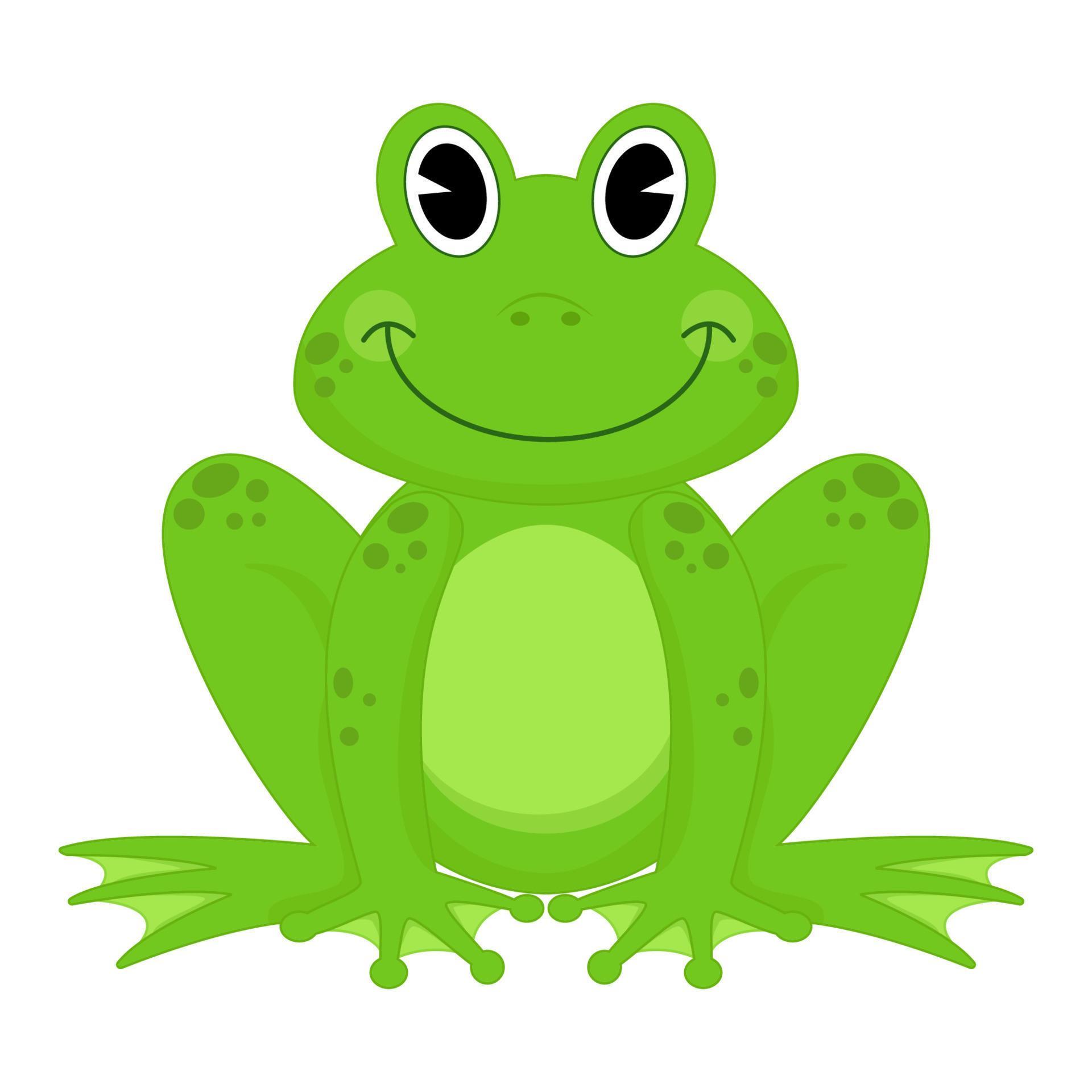 Animal illustration of frog 16469440 Vector Art at Vecteezy