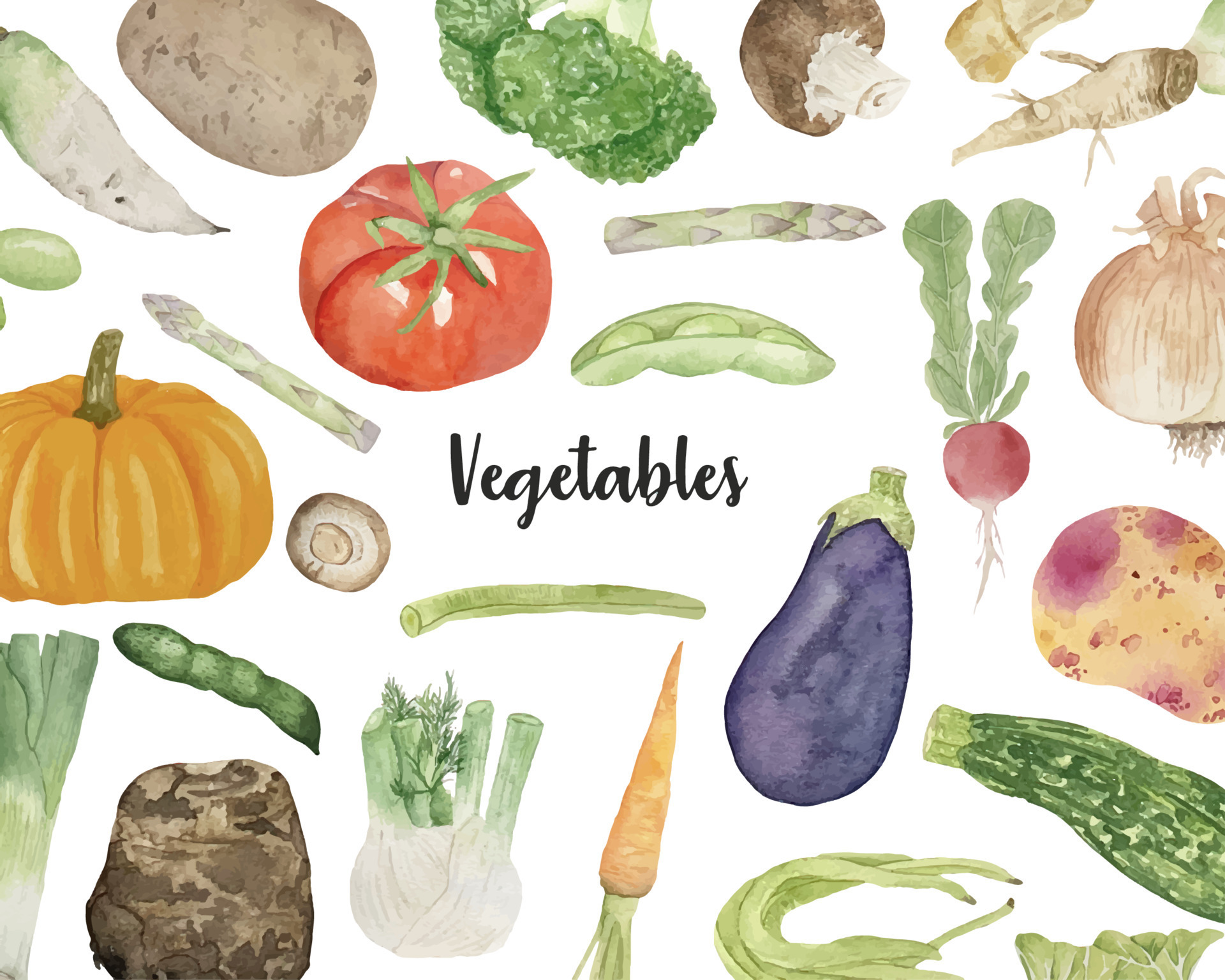 Watercolor background with various vegetables on white background, top ...