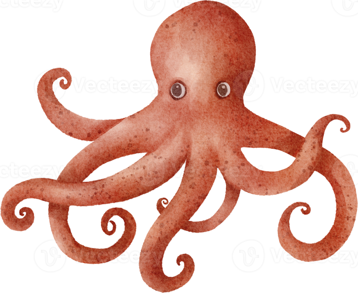 Clip Art Octopus
