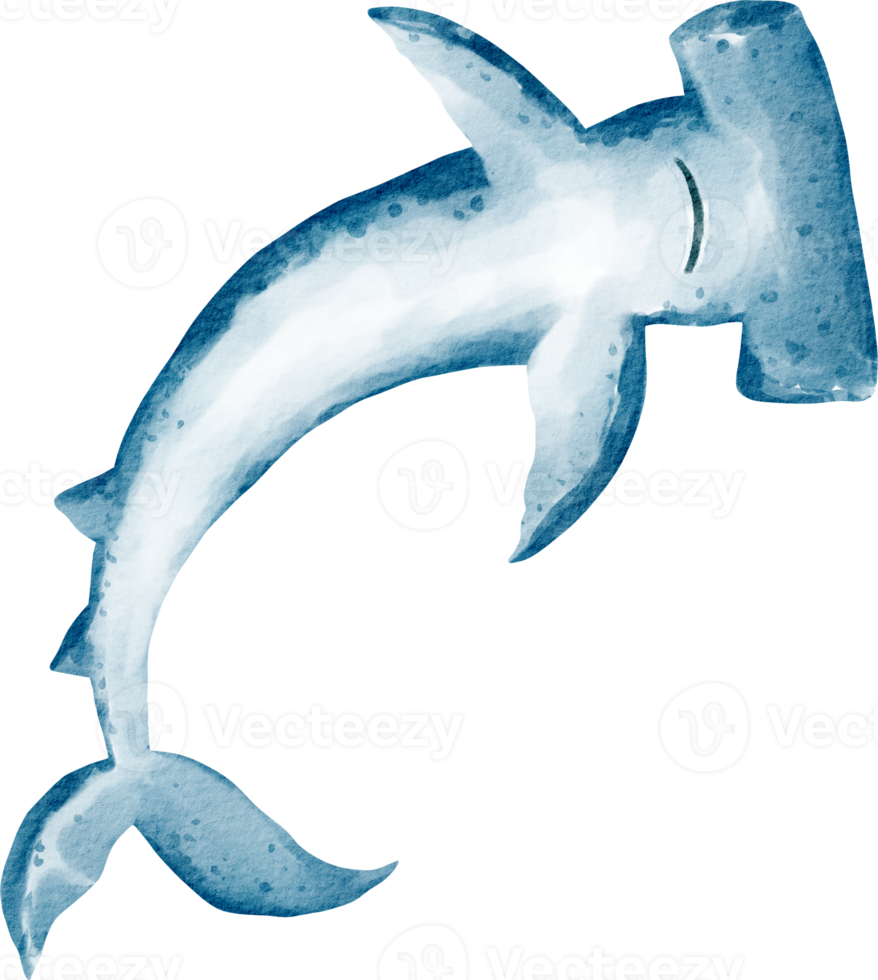 watercolor shark sea animal 16532582 PNG
