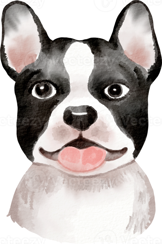 watercolor dog clip art 16534685 PNG