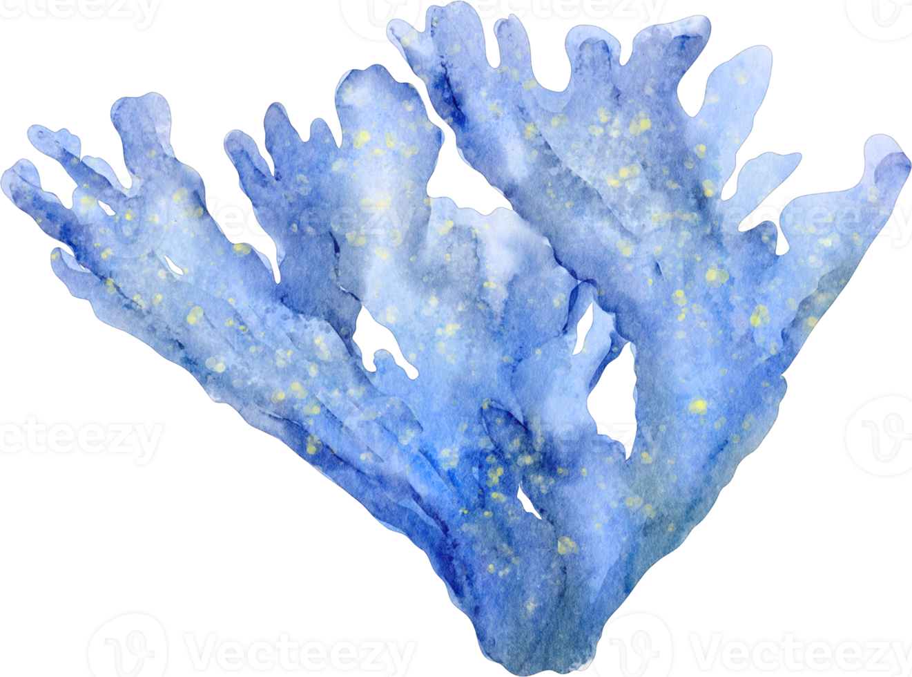 watercolor coral clip art blue 16535110 PNG watercolor coral clip art blue 16535110 PNG