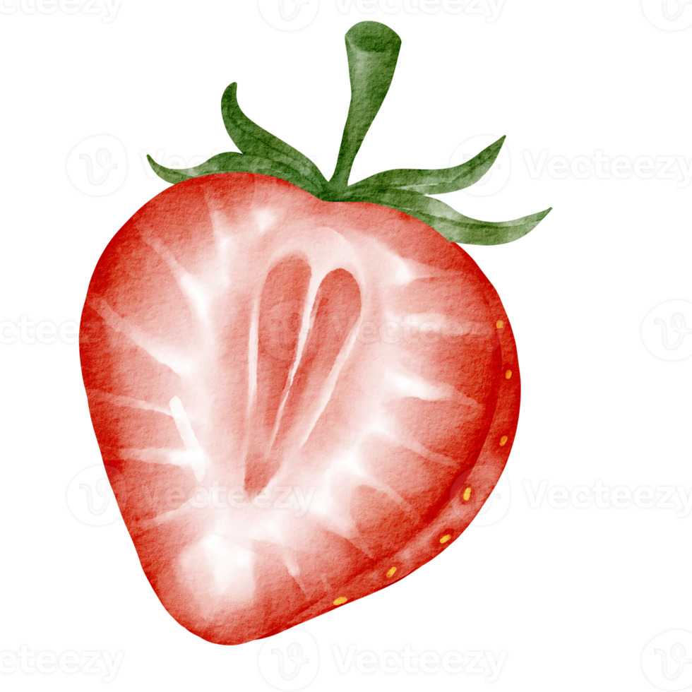 watercolor strawberry fruit clip art 16535262 PNG watercolor strawberry fruit clip art 16535262 PNG