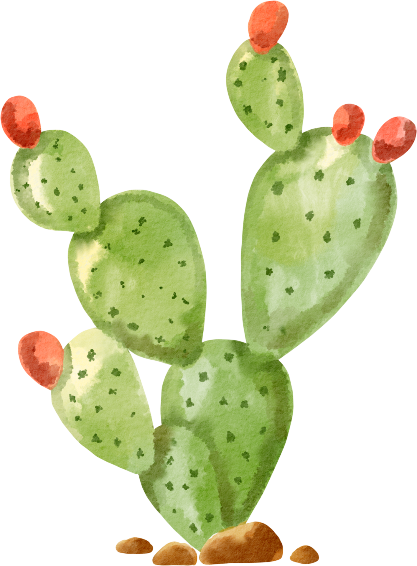 Watercolor Cactus Clip Art Hot Sex Picture