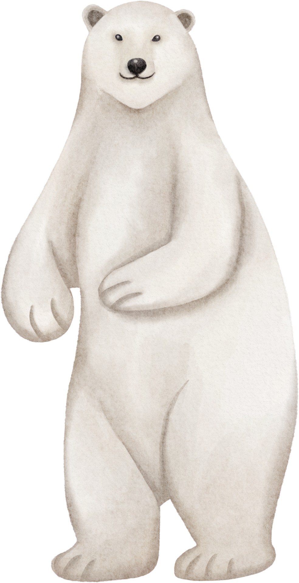 Watercolor Polar Bear 16535954 Png
