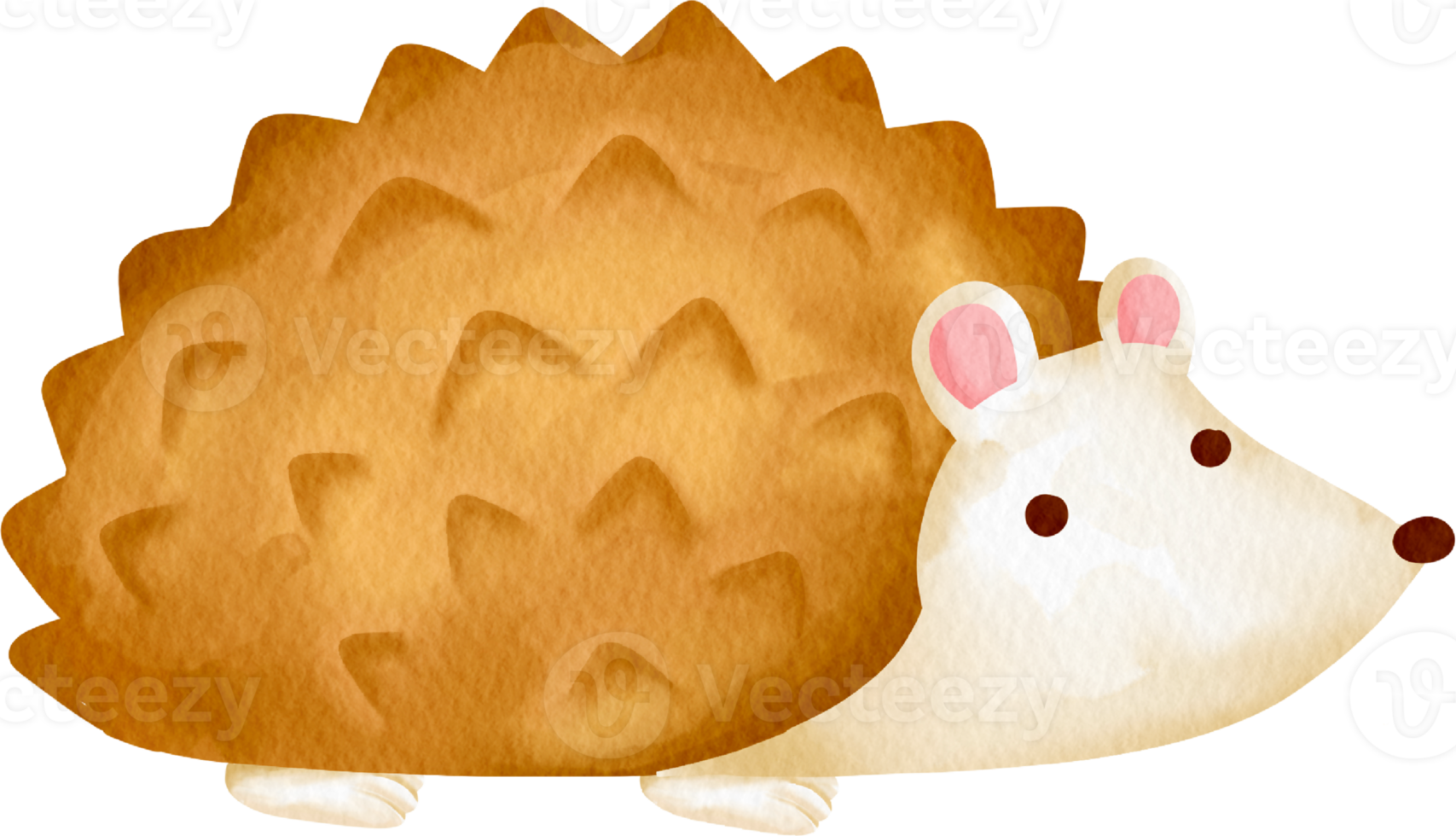 Free watercolor porcupine cute clip art 16537658 PNG with Transparent ...