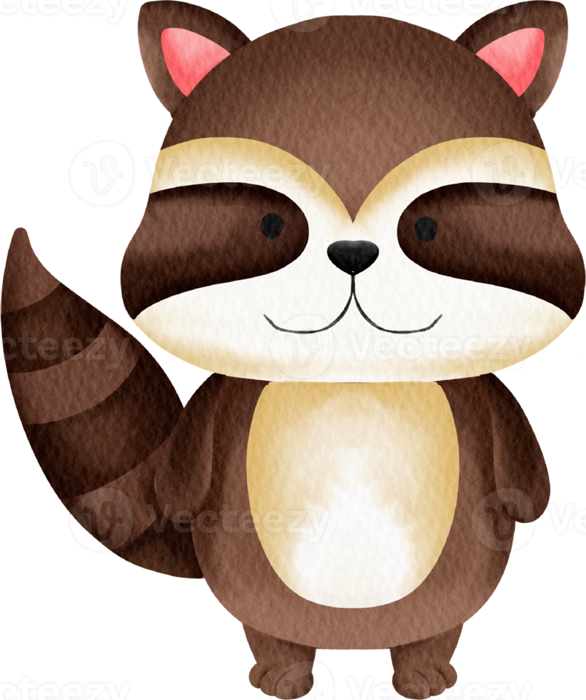 Desenho Animado Bonito De Guaxinim Em Aquarela 16540604 Png