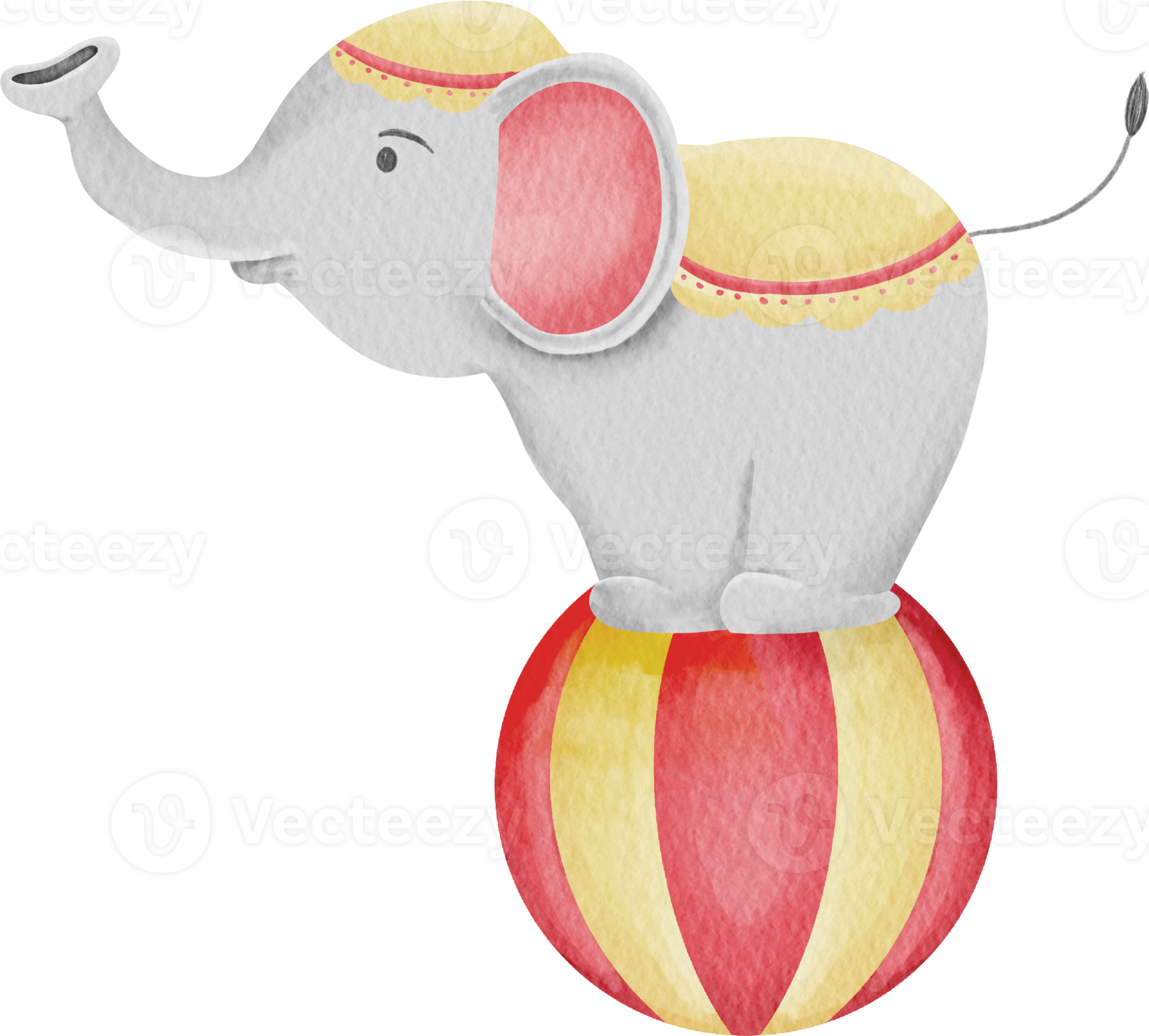watercolor circus elephant 16540975 PNG