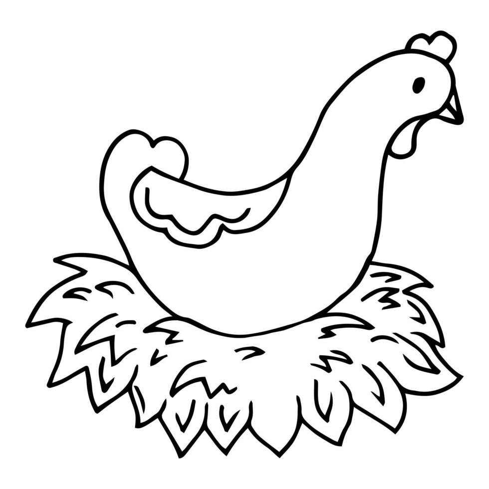 gallina ponedora en vector de boceto de nido. pollo y huevos de granja ...