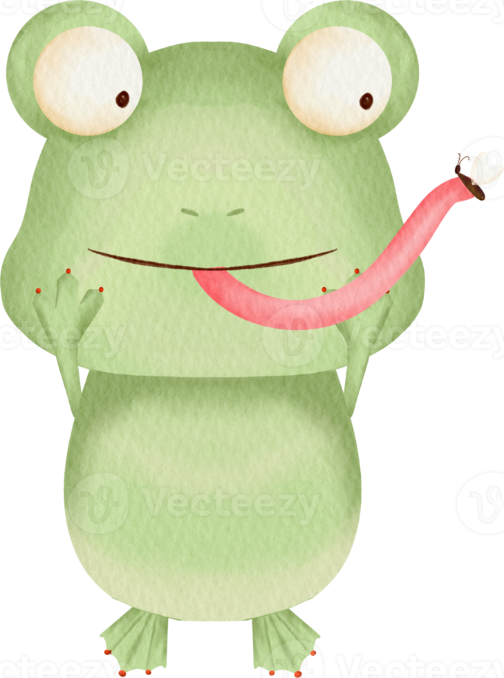 watercolor frog clip art 16548004 PNG