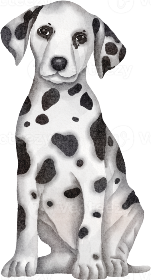 watercolor dog clip art 16548076 PNG