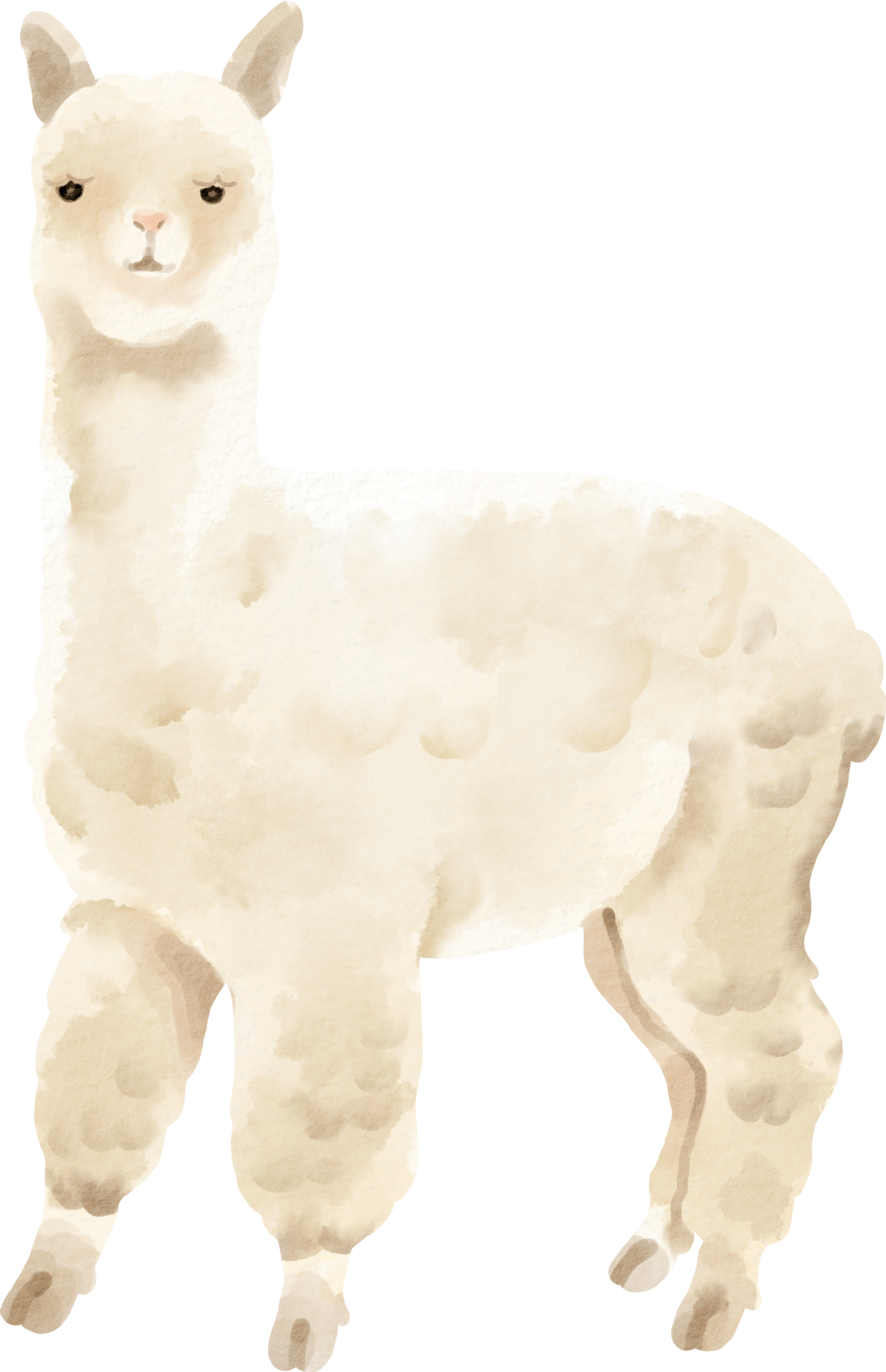 watercolor alpaca cute clip art 16548081 PNG