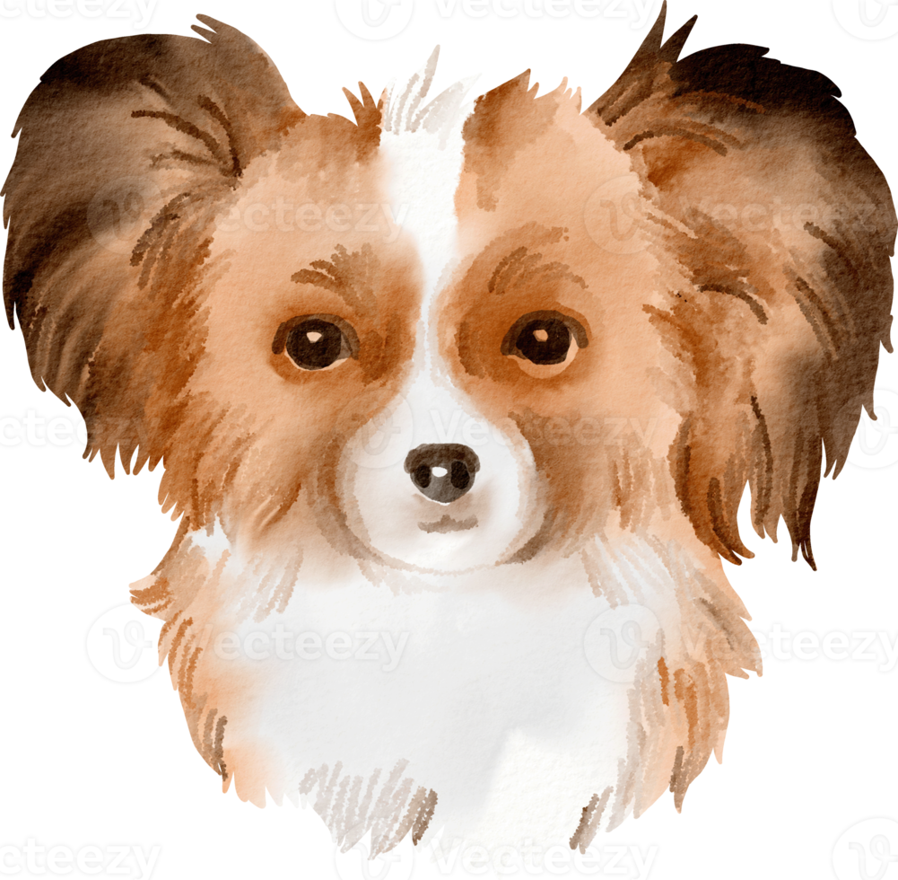 watercolor dog clip art 16548363 PNG