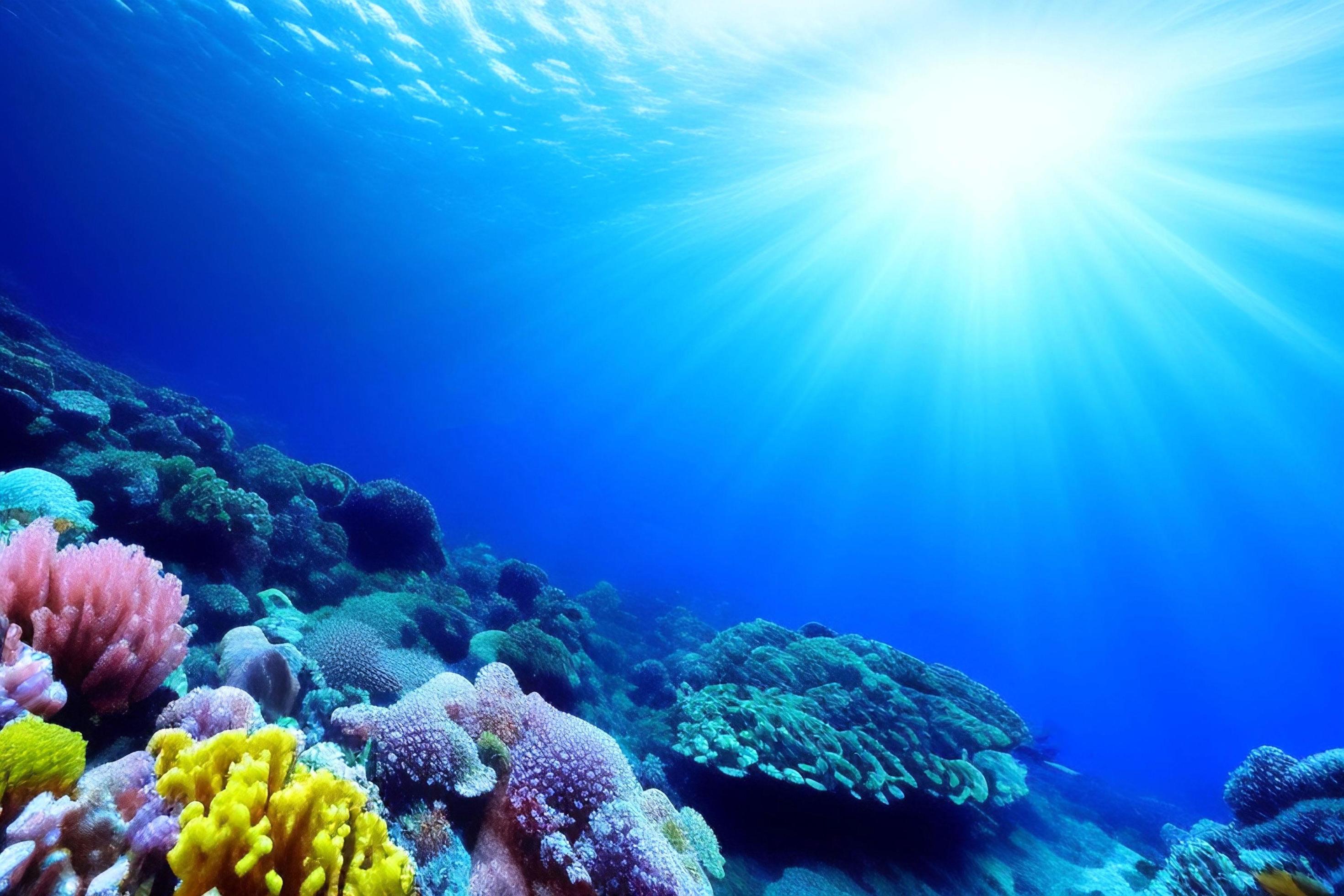 Underwater scene. Ocean coral reef underwater. Sea world under water ... Underwater scene. Ocean coral reef underwater. Sea world under water ...