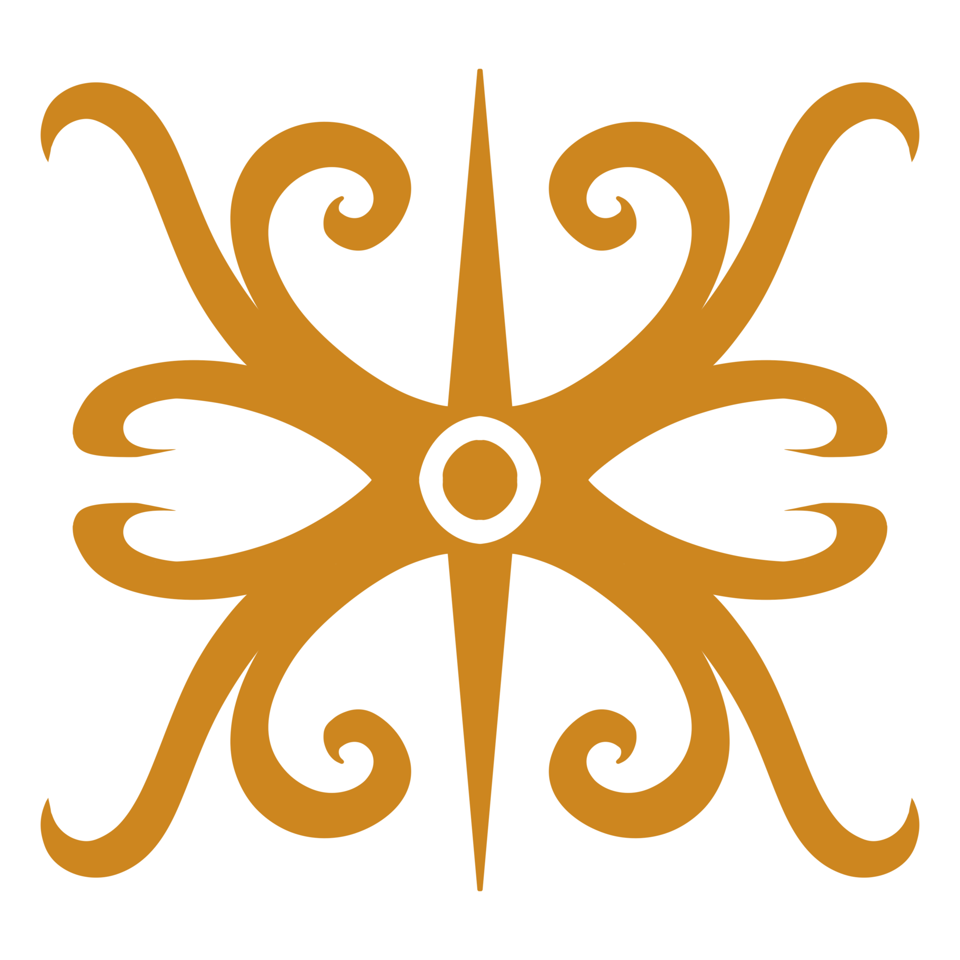 typical Kalimantan batik motifs 16582684 PNG
