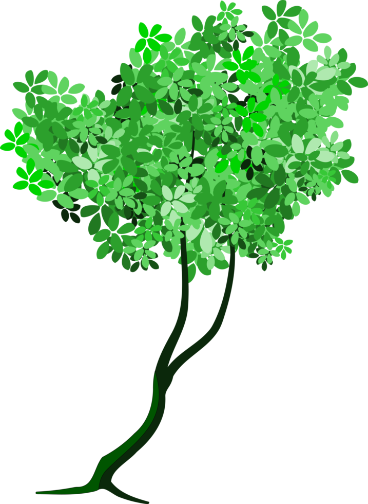tree png. tree transparent background 16583566 PNG