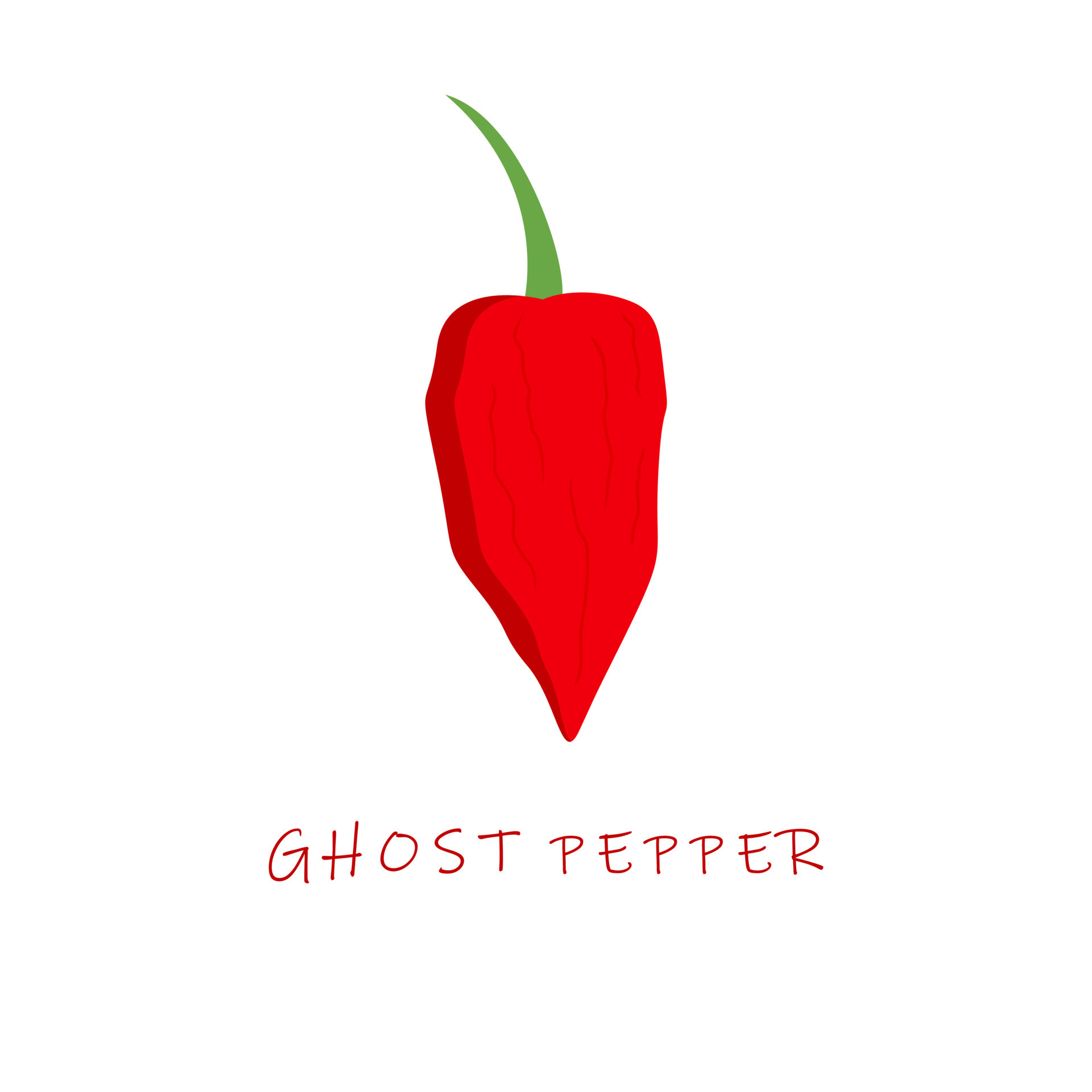 Ghost Pepper Flat Design Vector Illustration Capsicum Chinense Ghost Chili 16589101 Vector Art