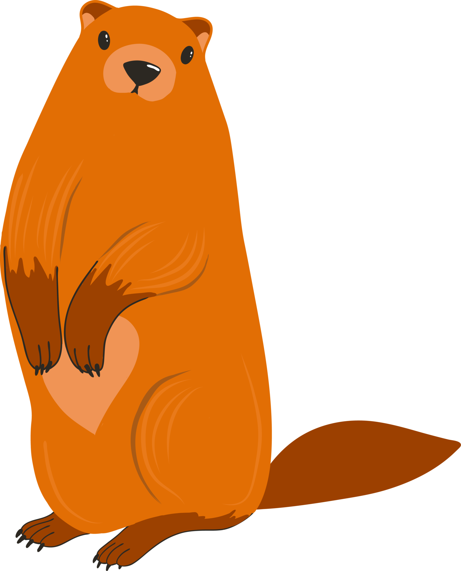 dia da Marmota. personagem da marmota. castor ou gopher.flat cartoon style.weather ...