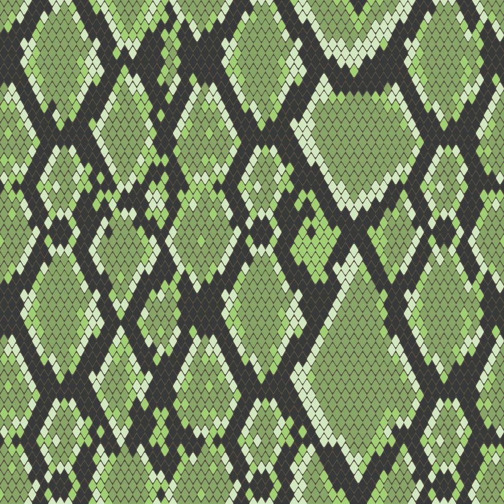 Snake Skin Texture Seamless Pattern 16637697 Vector Art at Vecteezy Snake Skin Texture Seamless Pattern 16637697 Vector Art at Vecteezy