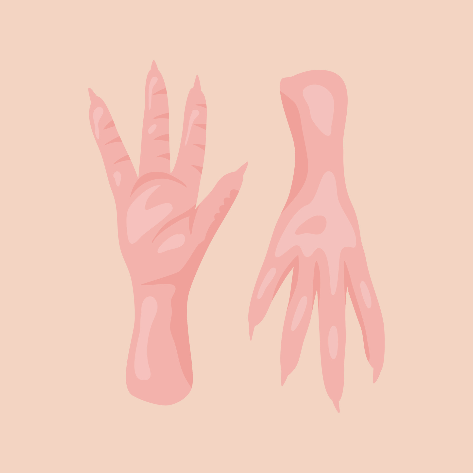 Illustration Of Chicken Feet 16645900 Vector Art At Vecteezy